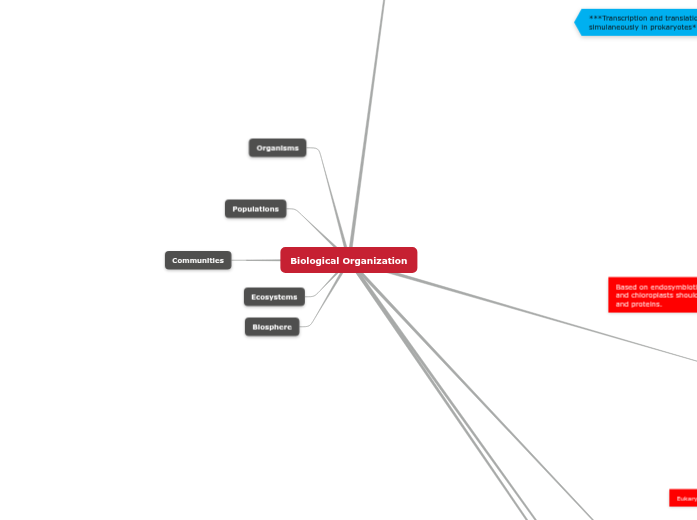 Objects and processes inside cells - Mind Map